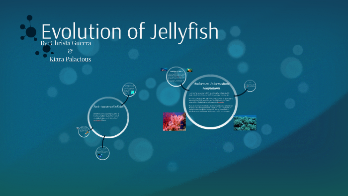 Evolution of Jellyfish by christa guerra on Prezi