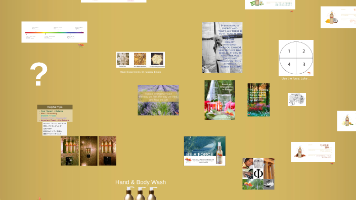 Phia Training Part 1 by on Prezi