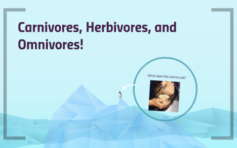 Carnivores, Herbivores, and Omni by Maryam Saber on Prezi