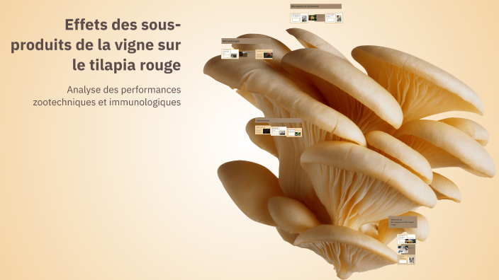 Effets des sous-produits de la vigne sur le tilapia rouge by ZACHE NOUR ...