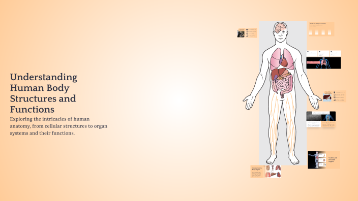 Understanding Human Body Structures and Functions by Ela Wesslati on Prezi