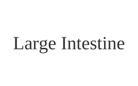 Large Intestine by nick dresch on Prezi
