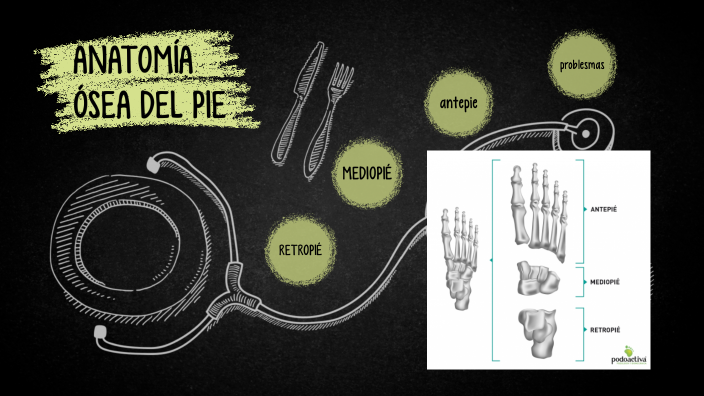 ANATOMÍA ÓSEA DEL PIE by daniel fernando on Prezi