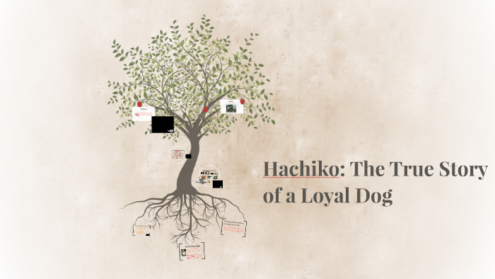 Hachiko: The True Story of a Loyal Dog by Han Yao on Prezi