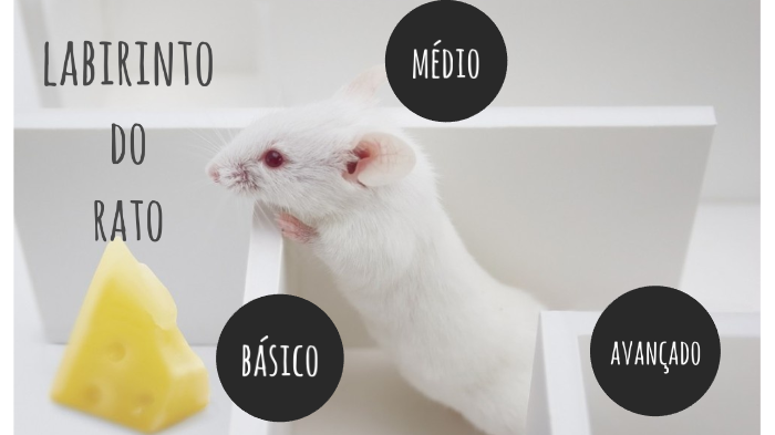 Labirinto do rato by Vitor Couto on Prezi
