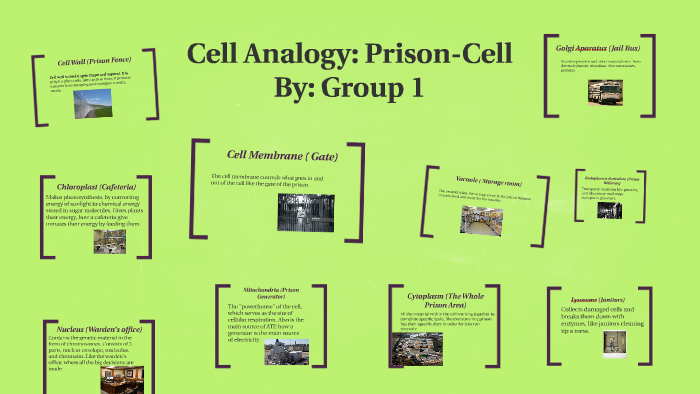 Cell Analogy: Prison-Cell by Char Lace on Prezi
