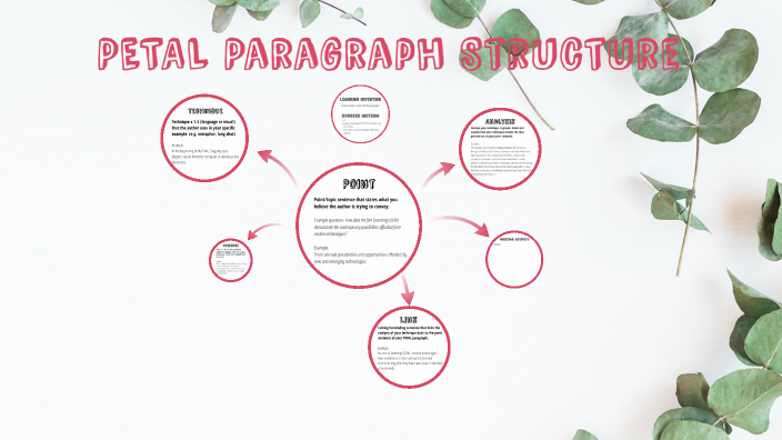 11 Studies - PETAL Paragraph Structure by Lisa Darwick on Prezi