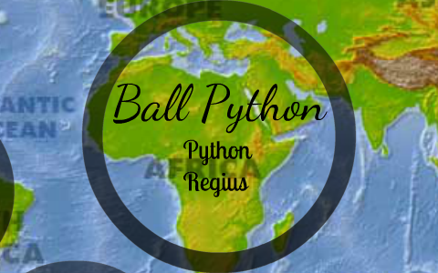 Vet Science Prezi - Ball Python by Azshari Moonblade on Prezi