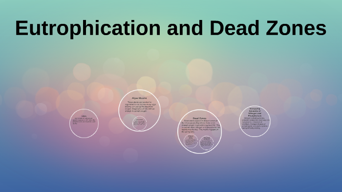 Eutrophication and Dead Zones by Jackie Tippett on Prezi