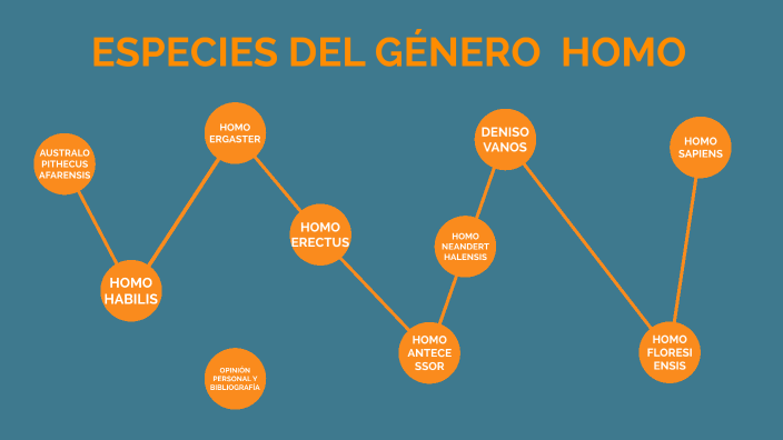 ESPECIES DEL GÉNERO HOMO by Thelma Martínez on Prezi