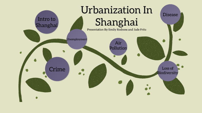 Urbanization in Shanghai by Emily Rodness on Prezi