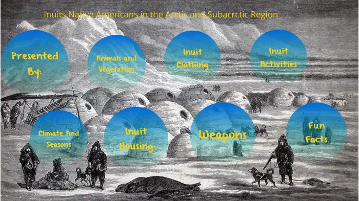 Inuits: Native Americans in the Arctic and Subacrctic Region by David ...