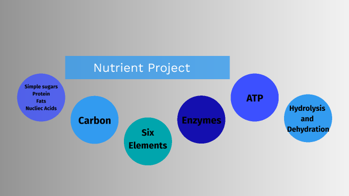 Nutrient Project by TIERNEY HARTMAN on Prezi