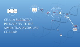 CELULA EUCRIOTA Y PROCARIOTA. TEORIA SIMBIOTICA.DIVERSIDAD C by Brenda ...