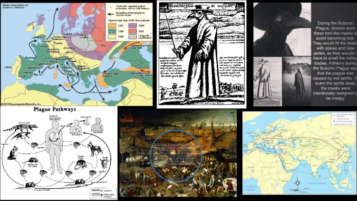 The Black Deaths by Damien Acuna on Prezi