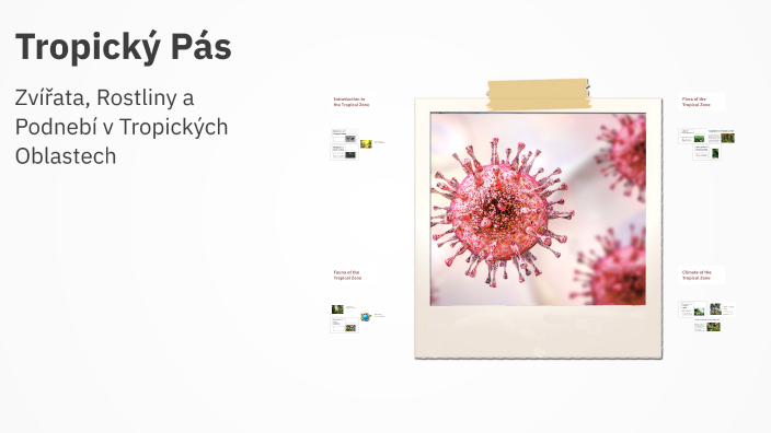 Tropický Pás by Lenka Mužíková on Prezi
