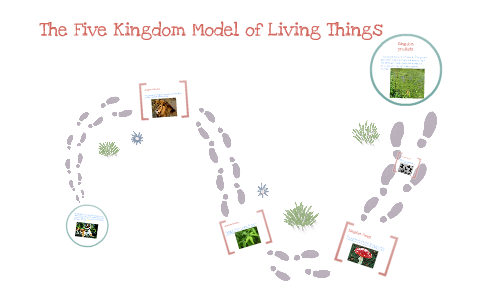 The Five Kingdom Model Of Living Things by Fisher Brown on Prezi