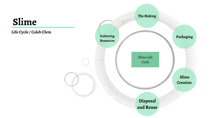 Slime Life Cycle by Caleb Clem on Prezi