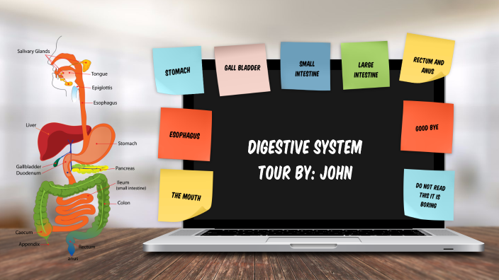 Digestive System Tour: FINAL project by JOHN HAMMONDS on Prezi