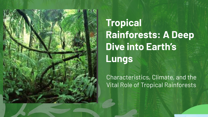 Tropical Rainforests: A Deep Dive into Earth’s Lungs by Shreya P on Prezi