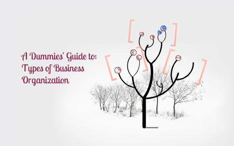 A Dummies' Guide to: Types of Business Organization by Shayna Choong on ...