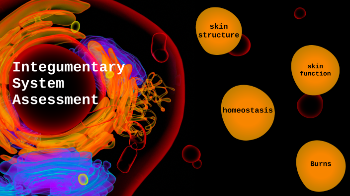 Integumentary System Assessment by Emma Wright on Prezi