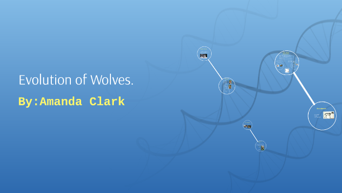 Evolution of Wolves. by Amanda Clark on Prezi
