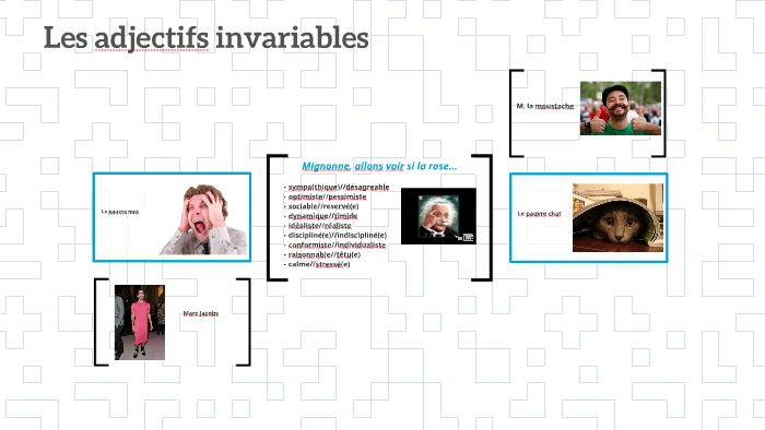 Les adjectifs invariables by Allison Dorman on Prezi