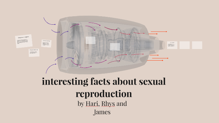 interesting facts about sexual reproduction by hari singh on Prezi