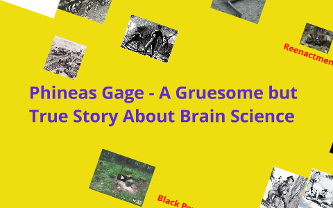 Phineas Gage - A Gruesome but True Story About Brain Science by Kristy ...