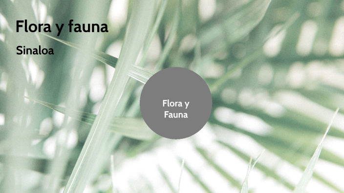 Flora y fauna de sinaloa by María José Lopez Pérez on Prezi