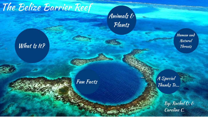Belize Barrier Reef by Caroline Croker on Prezi