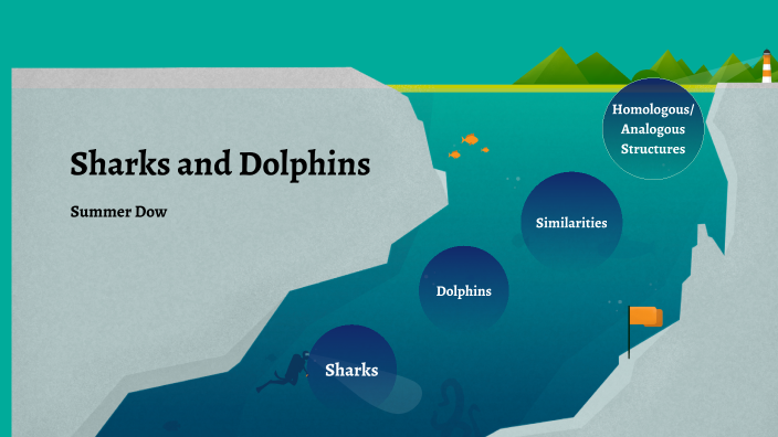 Sharks vs Dolphins by Summer Dow on Prezi