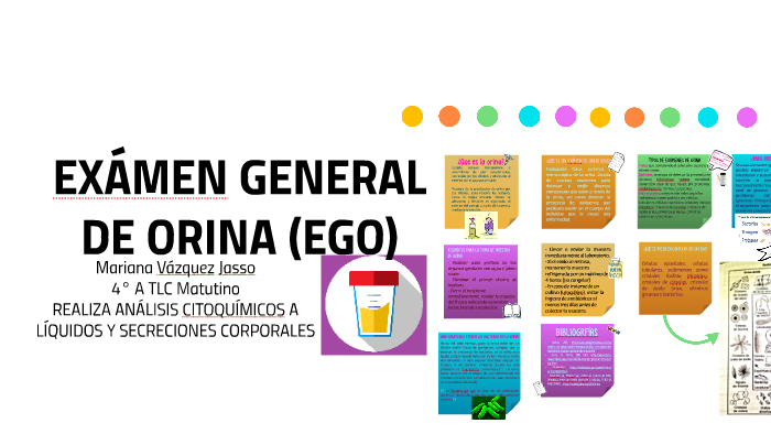 EXÁMEN GENERAL DE ORINA (EGO) by Mariana Vázquez Jasso on Prezi