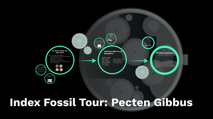 Fossil Tour: Pecten Gibbus by Kaitlyn Sheerahamed on Prezi