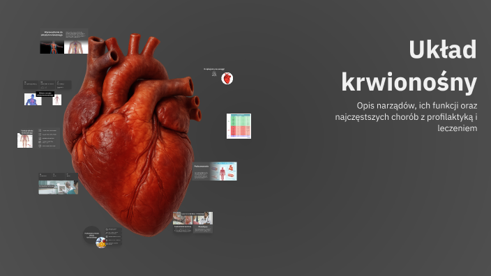Układ krwionośny by Sky Blue on Prezi