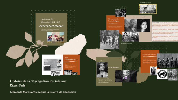 Histoire De La Ségrégation Raciale Aux États Unis By Dominique Marleau