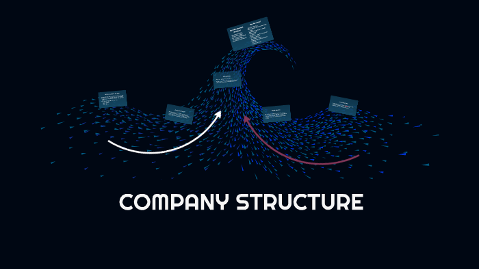 COMPANY STRUCTURE by Ari Rivas on Prezi