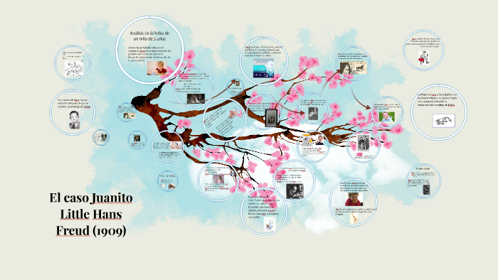 El caso Juanito by Claudia Gomez on Prezi