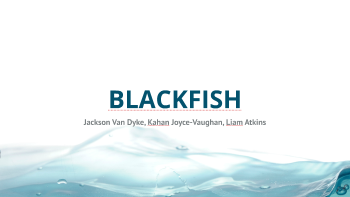 Blackfish Documentary Analysis by Jackson Van Dyke on Prezi