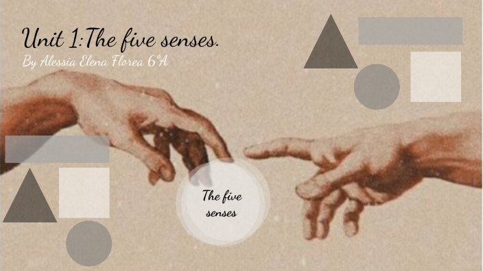 Unit 1:The five senses. by Elena F on Prezi
