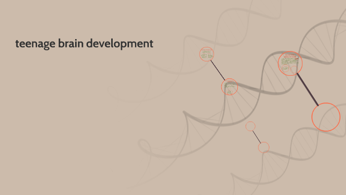 teenage brain development by w k on Prezi