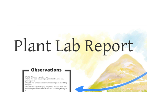 Plant Lab Report by Gianna Clare on Prezi