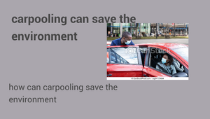 carpooling can save the environment by Aria Bray on Prezi Design