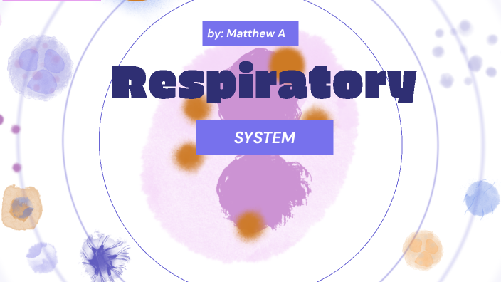 respiratory system by matthew avalos on Prezi
