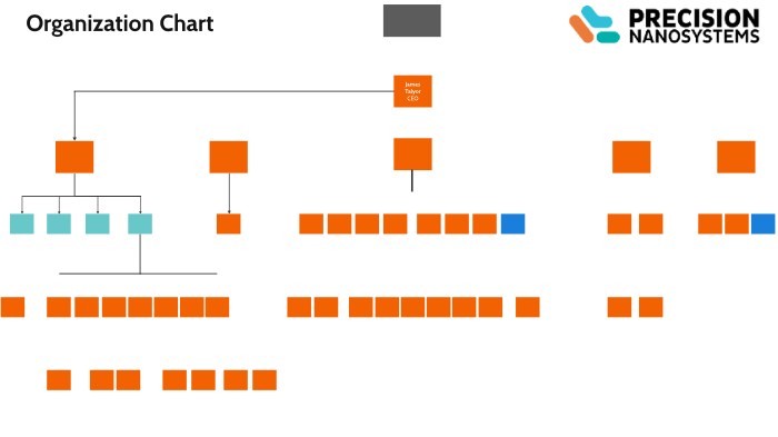PNI Org Chart by Gabi Musico on Prezi