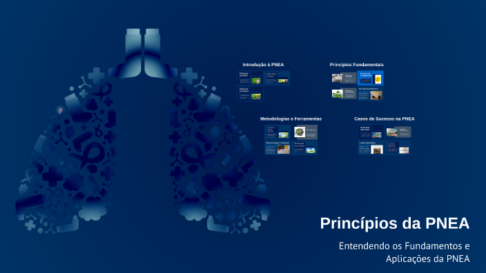 Princípios da PNEA by felipe germano on Prezi