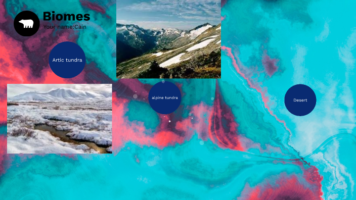 Biomes Tic-Tac-Toe by Cain West on Prezi