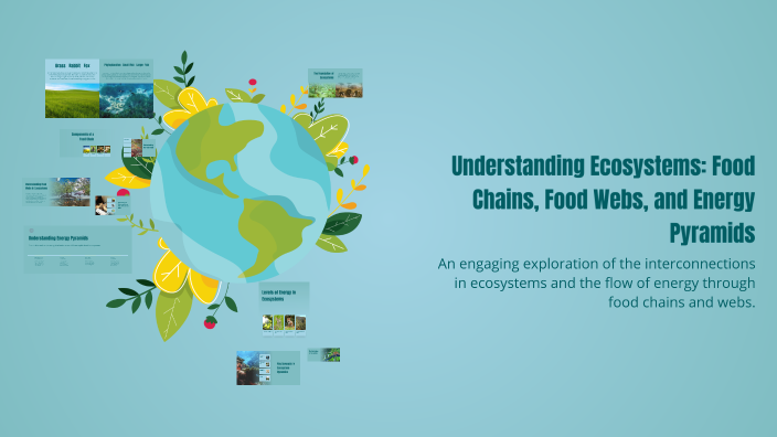 Understanding Ecosystems: Food Chains, Food Webs, and Energy Pyramids ...