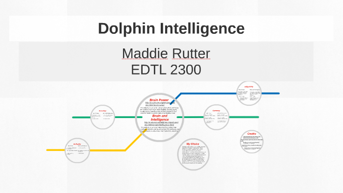 Dolphin Intelligence by Maddie Rutter on Prezi